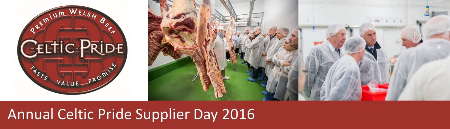 Celtic Pride | Celtic Pride